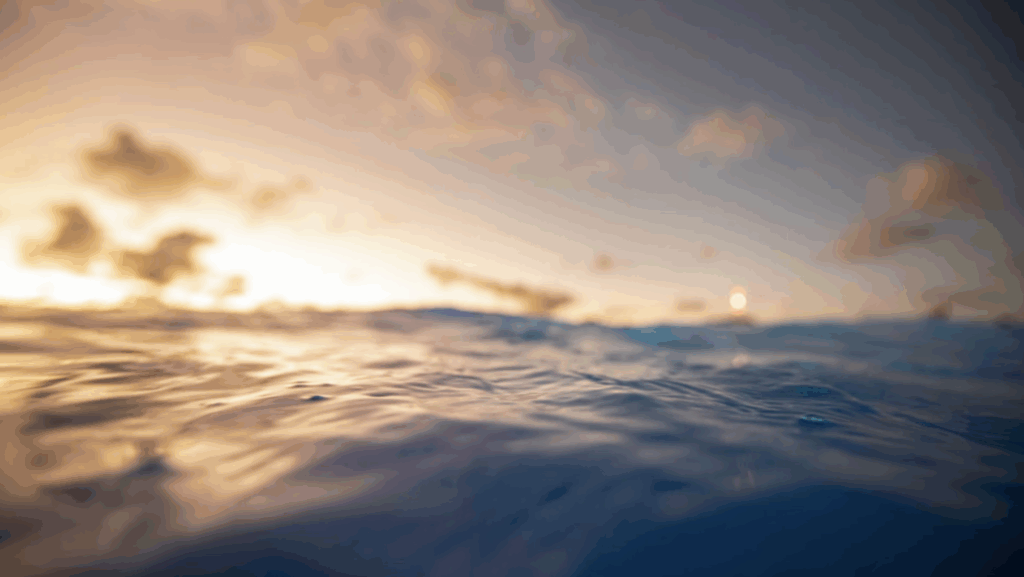 The Surprising Cause of Hawaii’s Snorkeling Deaths | Snorkel Safety Study